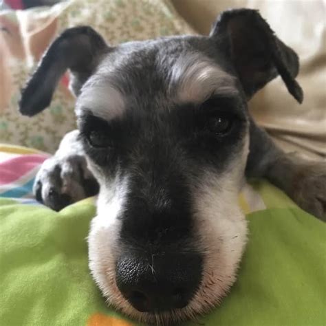 Cissy Wong Cissy Wong On Threads