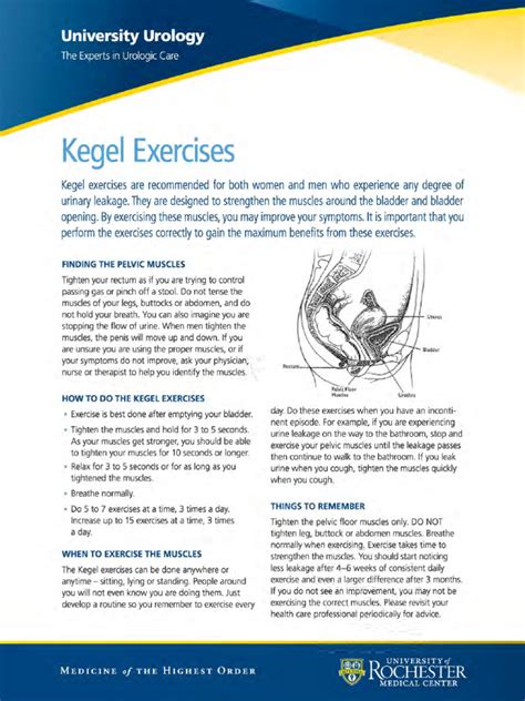 Kegel Exercises Pdf Urinary Incontinence Medical Specialties