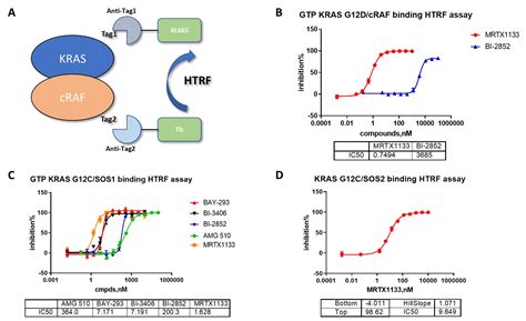 Kras Screening And Profiling Serviceskras Assay Serviceskras Services