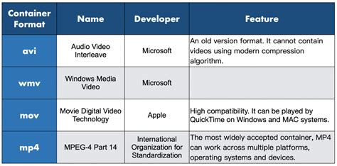 What Are Codec And Container Format Datavideo Datavideo Professional End To End Solutions