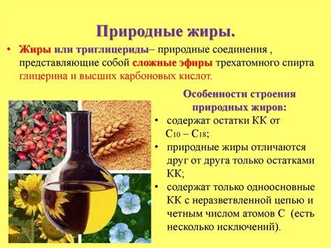 Свойства жиров. Природные жиры - презентация онлайн