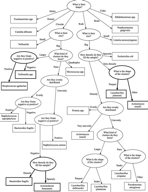 Example Of A Modified Decision Tree Download Scientific Diagram