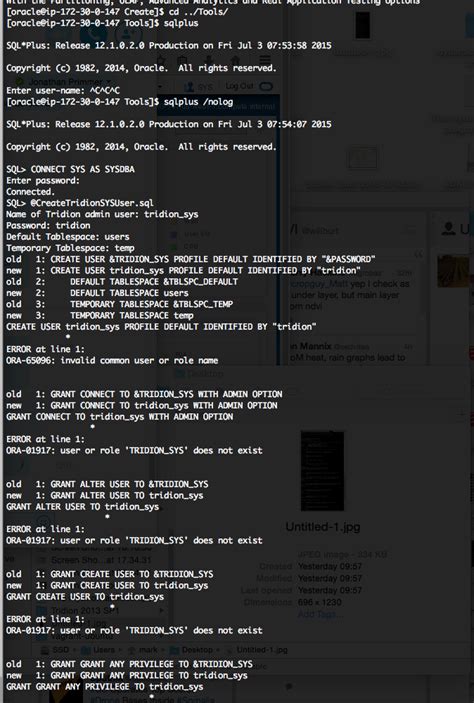 2013 Sp1 Oracle Content Delivery Createtridionsysusersql Errors