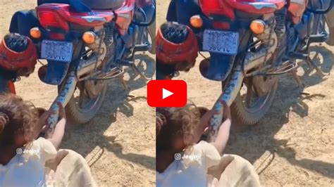 Rare Python Viral Video Watch Here Python Viral Video బైక్‌లో ఇరుక్కున్న పాములను పట్టి