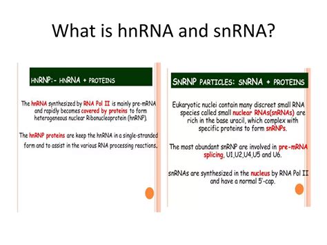 Rna Processing Post Transcriptional Modifications Splicing Capping Poly A Tail Rna Editing