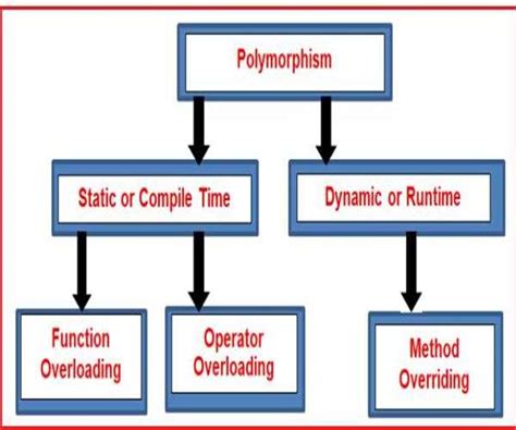 What Is Dynamic Or Run Time Polymorphism Mindstick Qanda