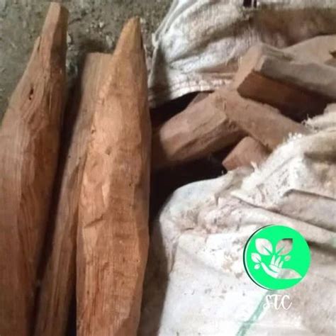 Brown Devdar Wood Havan Deodar Lakdi Cedrus Deodara Thewholesalerco