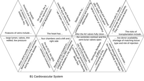 Level 3 Btec Applied Science Unit 5 Biology Tarsia Revision Teaching Resources