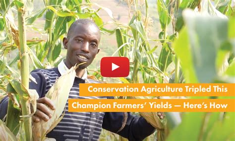Conservation Agriculture Tripled This Farmers Yields — Heres How Bridge2rwanda