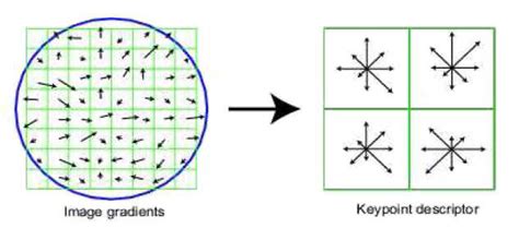 4 This Figure Shows A Simplified Example Of A 2 × 2 Descriptor Array Download Scientific