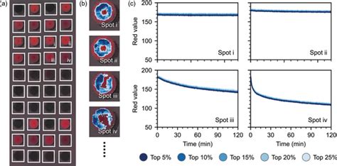 Preprocessing Of The Image Data For The Neural Network The Shown Image Download Scientific