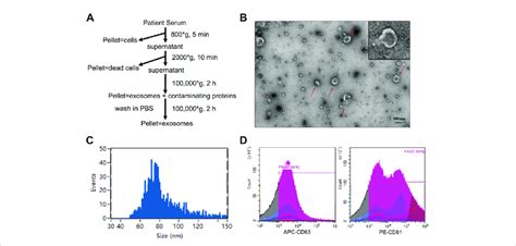 Characterization Of Evs Athe Procedures For Evs Isolation Used In