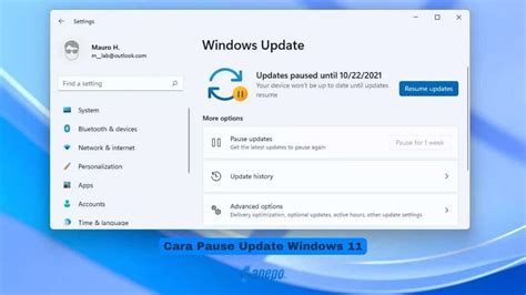Cara Pause Update Windows 11 Dengan Mudah Sanepo
