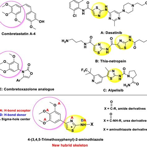Structures Of The Reported Lead Compounds A−e And The Newly Designed Download Scientific