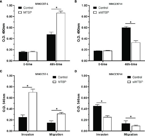 Mtbp Promotes The In Vitro Proliferation Invasion Or Migration Of Hcc