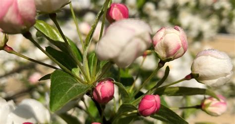 Personal Growth Sherry Eifler