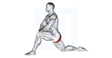 Lying Glute Stretch Guide Benefits And Form