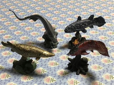 いきもの大図鑑ミニコレクション古代魚レビュー7