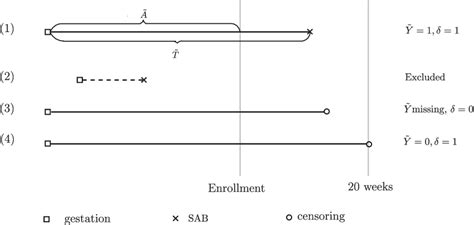 figure 1 from semiparametric model and inference for spontaneous
