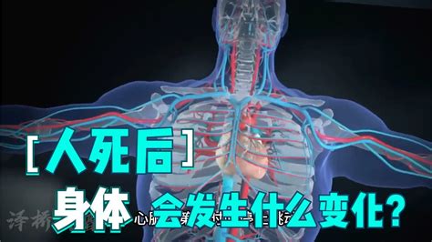 揭秘！人死后，身体会发生哪些变化？凤凰网视频凤凰网