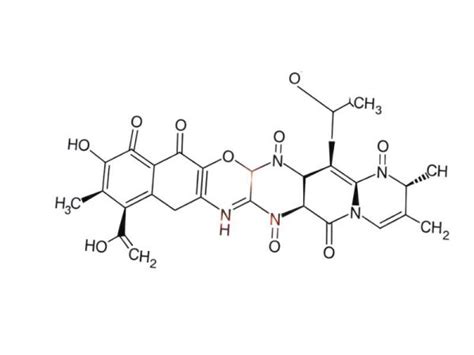 The Difference Between An Api And An Excipient