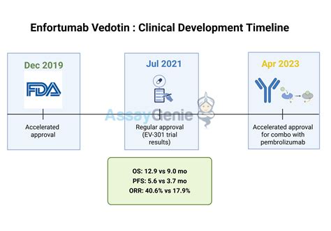 Enfortumab Vedotin Unveiling Its Role In Cancer Treatment And The Rise