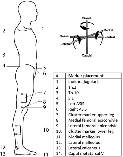 Figure 1 From Individual Selection Of Gait Retraining Strategies Is Essential To Optimally