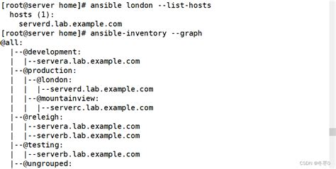ansible 主机清单 ansible主机清单 csdn博客