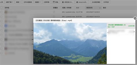 Mp4视频文件稍微大一点就打不开 · Issue 193 · Kalcaddlekodbox · Github