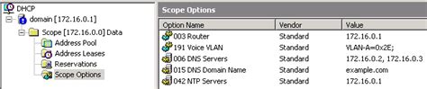 Windows Dhcp Server Not Sending All Options Server Fault