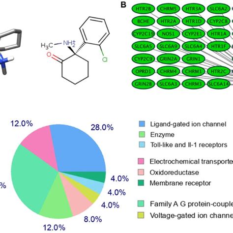 Target Proteins Predicted By The Database A Three Dimensional Left