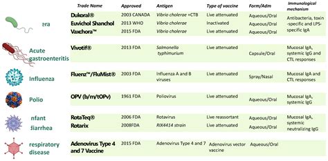 Types Of Bacterial Spores