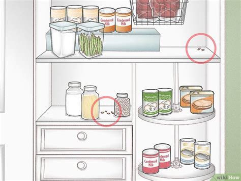 How To Easily Get Rid Of Mouse Urine Smell Expert Tips