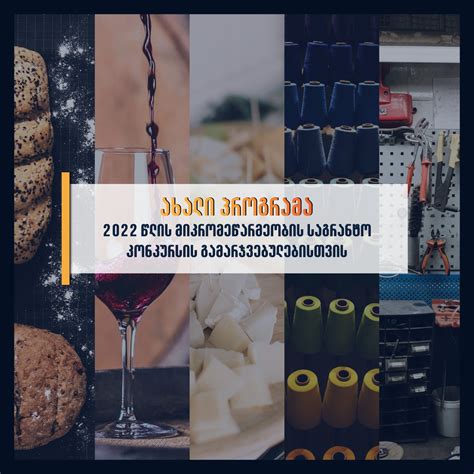 მიკრო და მცირე მეწარმეთა განვითარების პროგრამა 2023