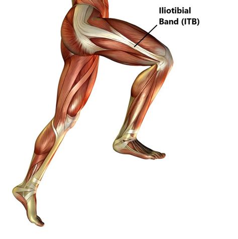 It Band Knee Dislocation At Michael Dittmer Blog