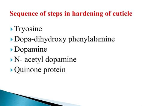 Biosynthesis Of Chitin Pptx