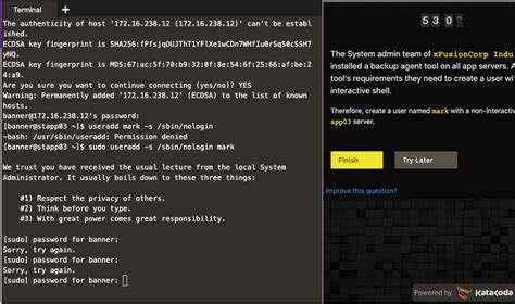 Create A Linux User With Non Interactive Shell Guide Kodekloud Engineer Kodekloud Devops