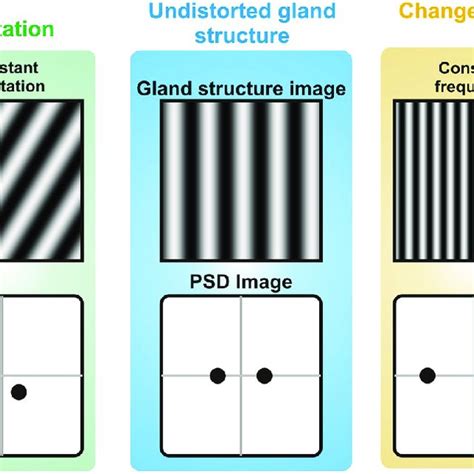 Schematic Illustration Of D Fourier Transformation Transformation Of Download Scientific
