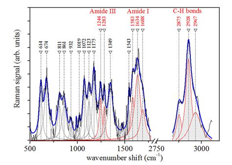 Representative Raman Spectrum Of Pdl The Blue Curve Is The Convolution Download Scientific