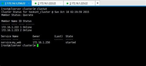 How To Sync Cluster Configuration And Verify Failover Setup In Nodes