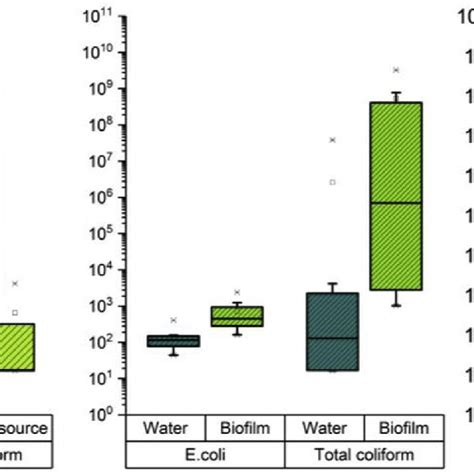 Enumeration Of Li And Total Coliform Genes From The Source Water Download Scientific