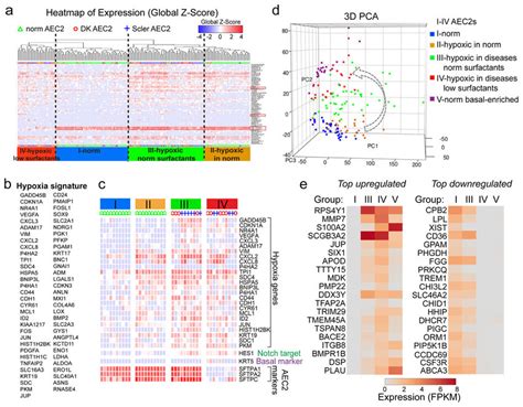 Single Cell Rna Seq Analysis Of Primary Human Lung Epithelial Cells Download Scientific Diagram