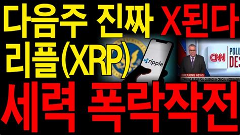 리플 엑스알피 다음주 진짜 X된다 세력폭락작전 단독공개합니다 Youtube