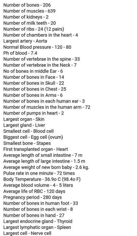 Human Biology Number Cheat Sheet Artofit