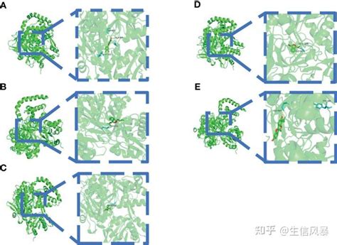 网络药理学的具体步骤是什么？这篇5 网络药理学生信文章给你答案 知乎