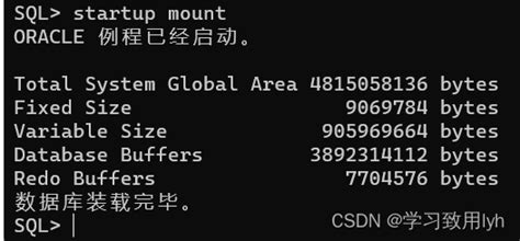 Oracle启动与关闭数据库实例oracle 启动实例 Csdn博客 Oracle启动与关闭数据库实例oracle 启动实例 Csdn博客