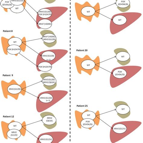Pdf Spatio Temporal Tumor Heterogeneity In Metastatic Crc Tumors A Mutational Based Approach