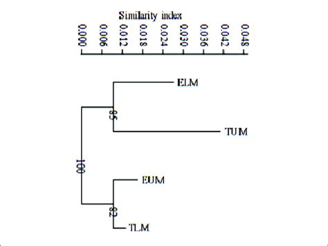A Neighbor Joining Dendrogram Based On Neis Unbiased Genetic
