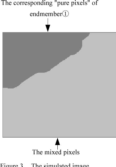 Figure 1 From Algorithm And Sswa Algorithm The E Ndme Mbers E Xtr Acted