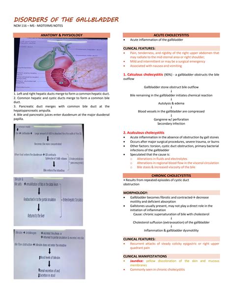Solution 3 Midterm Disorders Of The Gallbladder Notes Studypool